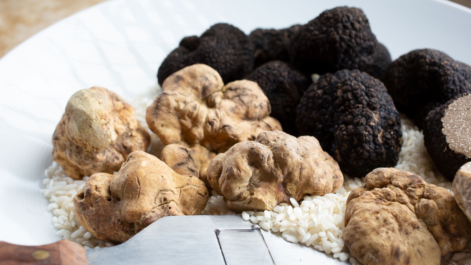 19 Most Lavish Foods Worldwide