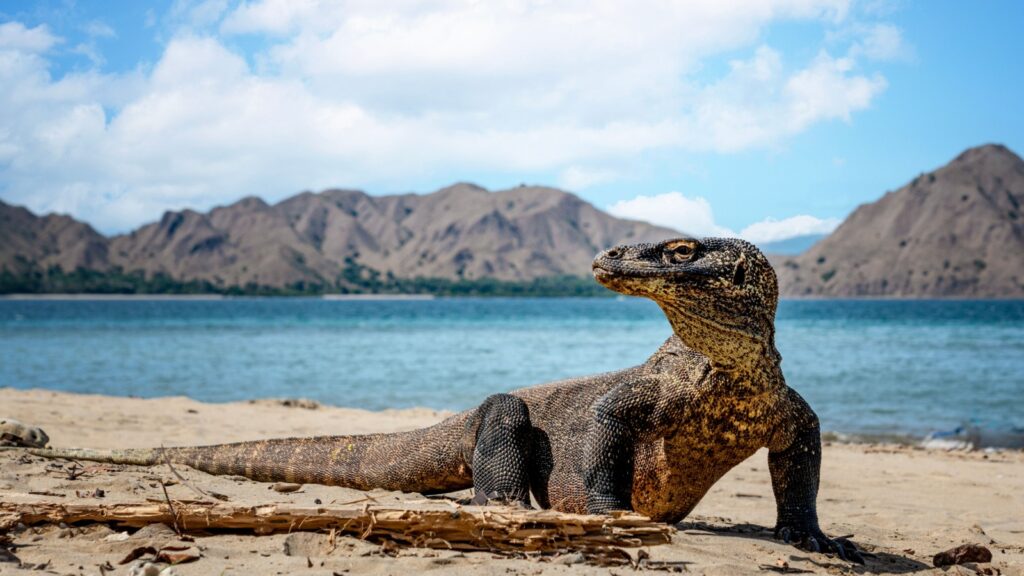 18 Animals With Potent Venom That Can Be Deadly